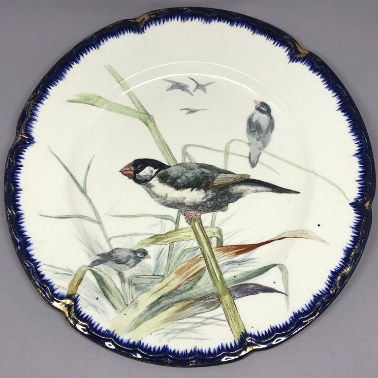 Set of Seven French Bird Plates at 1stDibs