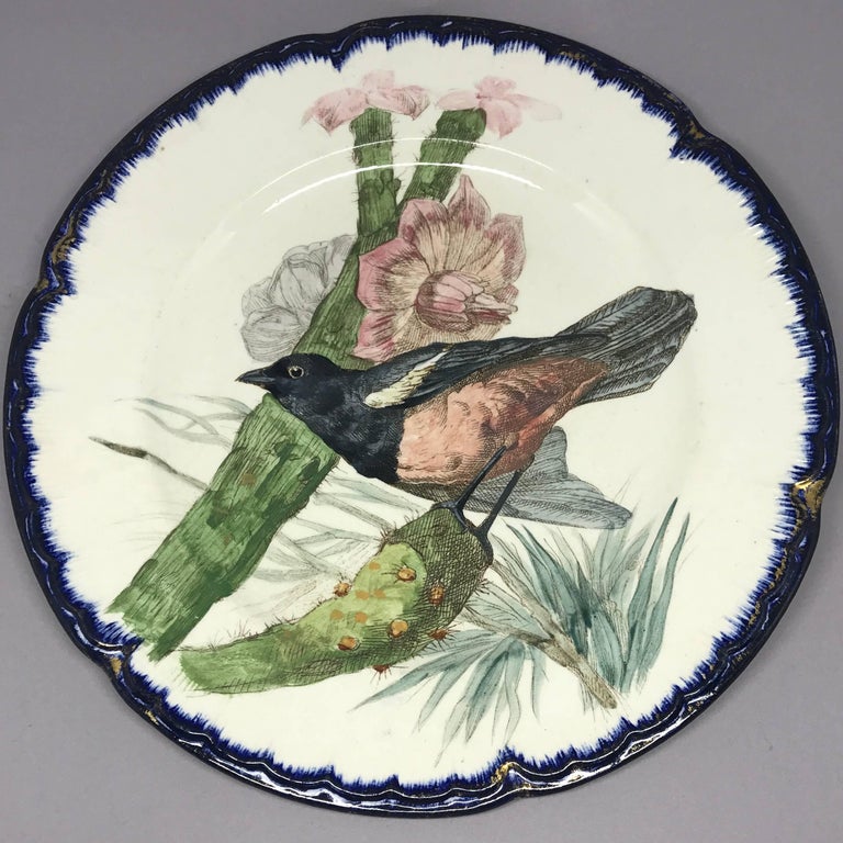 Set of Seven French Bird Plates at 1stDibs