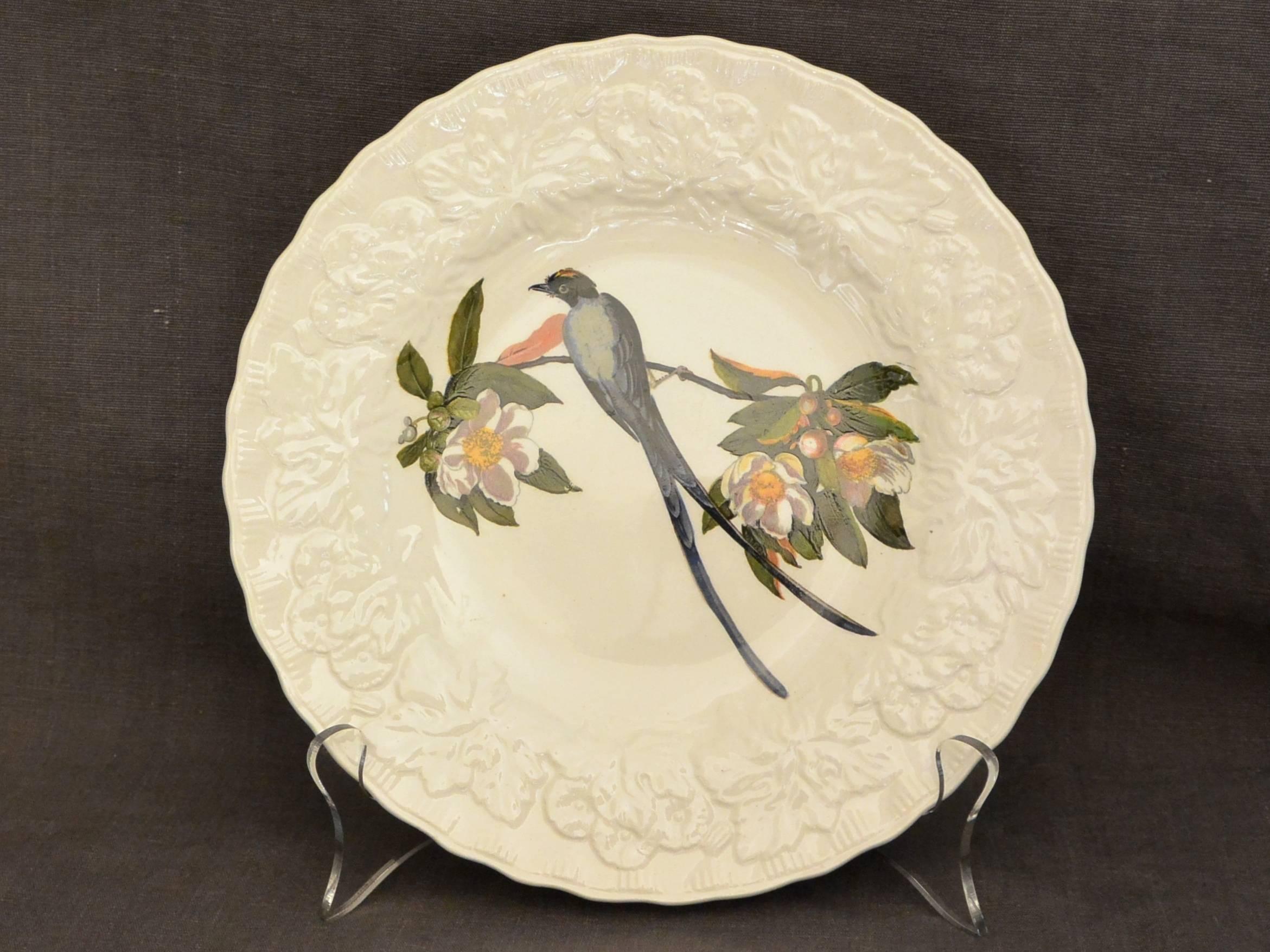 Set of Eight Audubon Bird Plates at 1stDibs