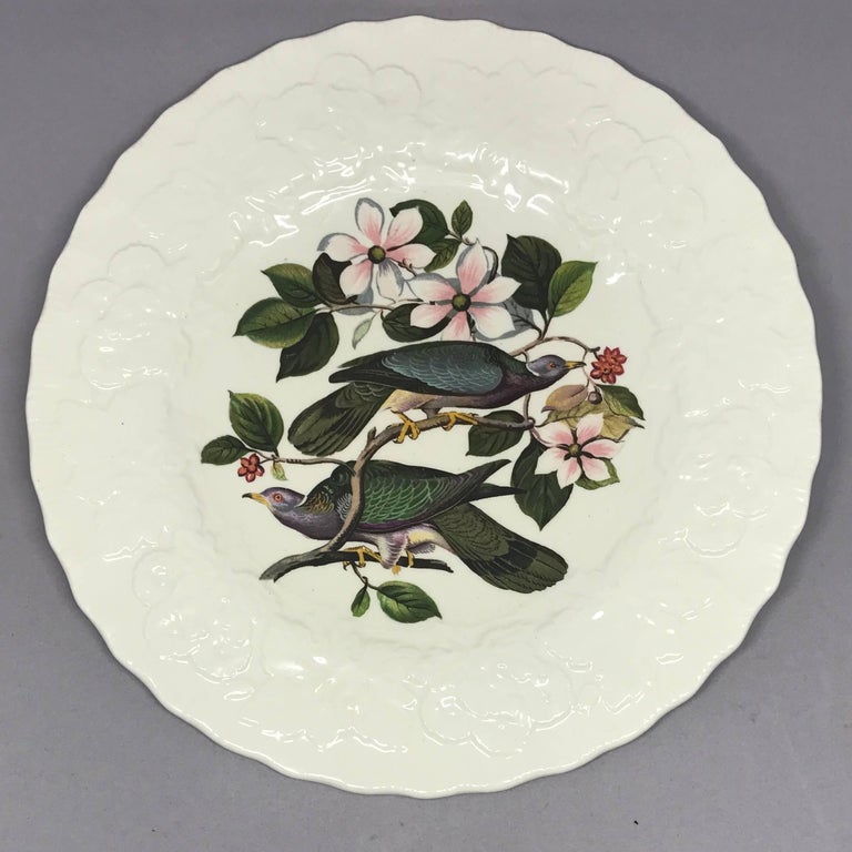 Set of Eight Audubon Bird Plates at 1stDibs