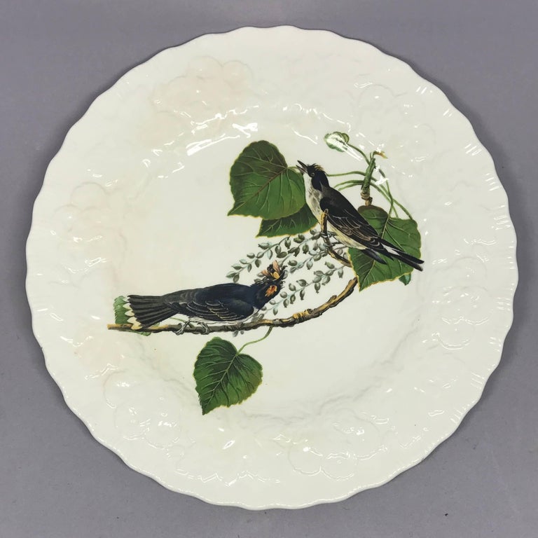 Set of Eight Audubon Bird Plates at 1stDibs