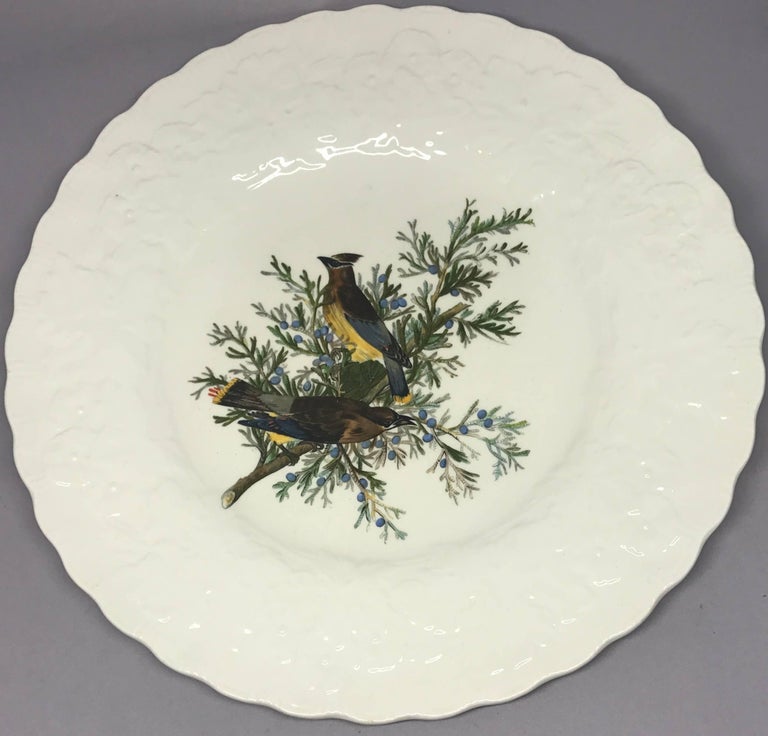 Set of Eight Audubon Bird Plates at 1stDibs