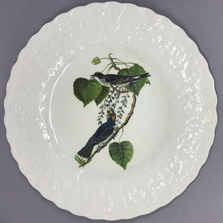 Set of Eight Audubon Bird Plates at 1stDibs