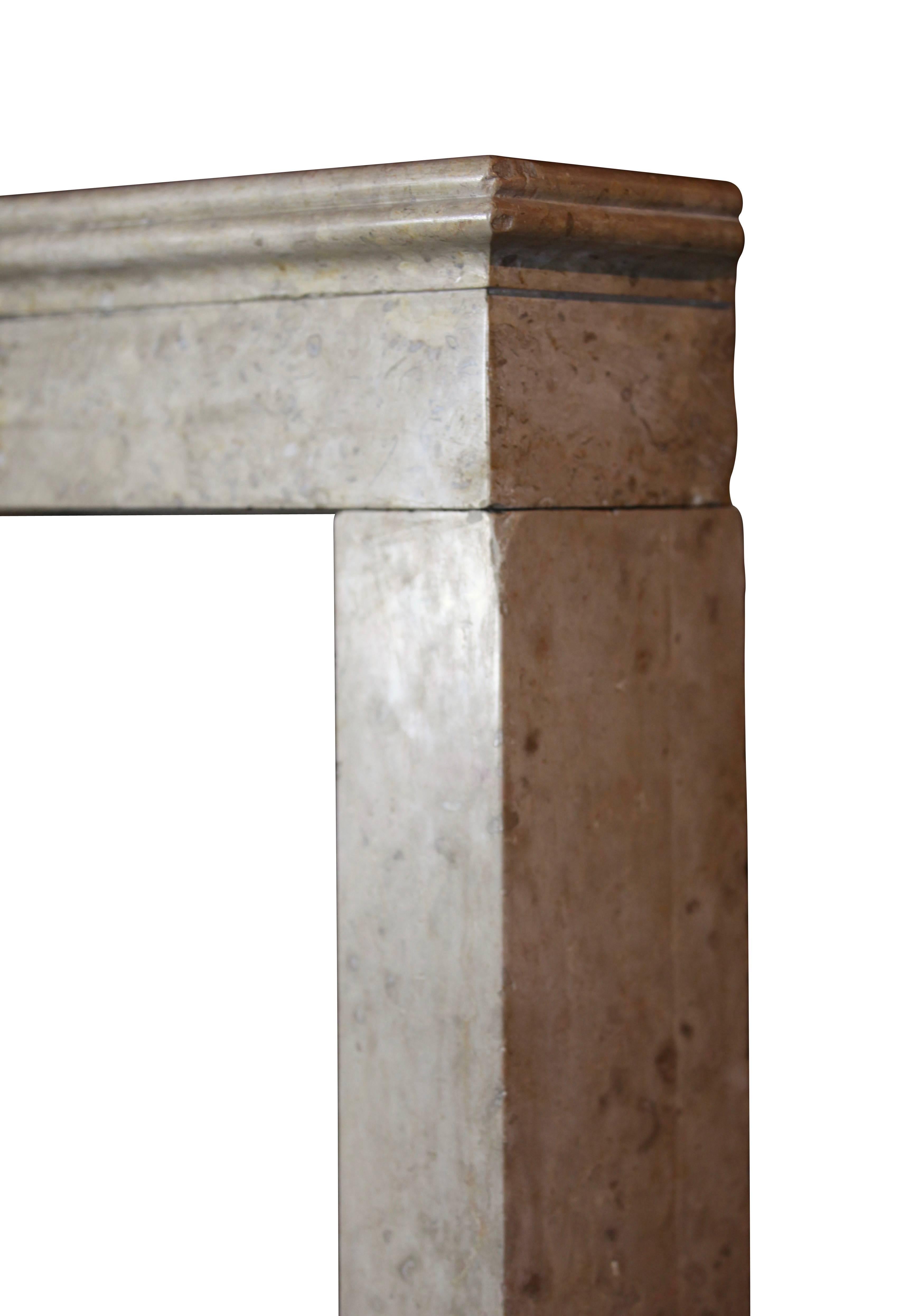 19th Century Hard Stone Antique Fireplace For Sale at 1stDibs