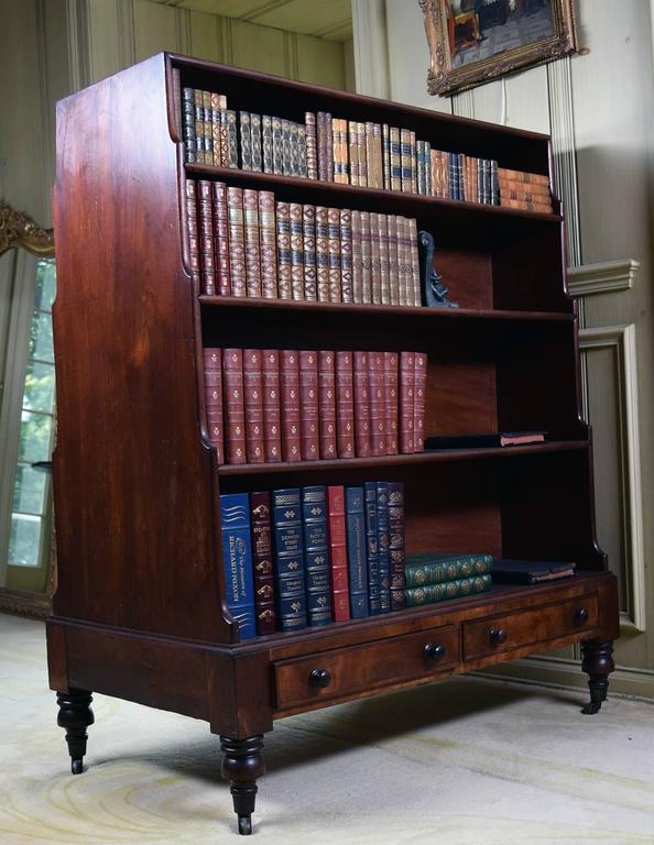 Double-Sided Regency Bookcase, circa 1810 For Sale at 1stDibs