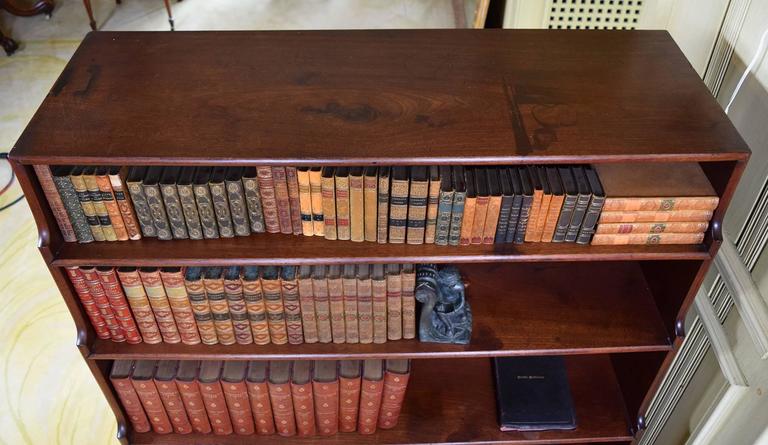 Double-Sided Regency Bookcase, circa 1810 For Sale at 1stDibs