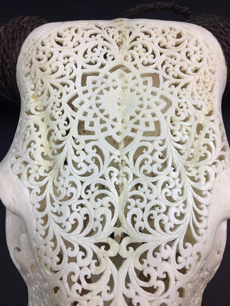Buffalo Skull Fine Hand-Carved For Sale at 1stDibs