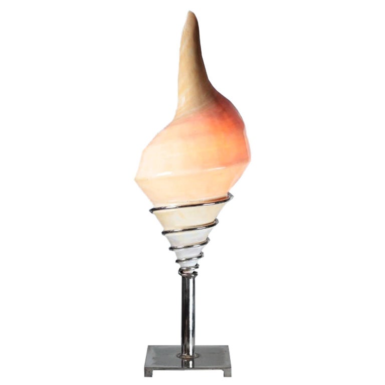 Turbo Shell Lamp on Custom Base For Sale at 1stDibs
