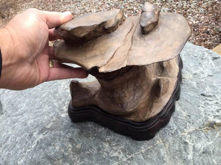 China Enchanting "Wuling" Viewing Stone Scholar Rock with custom ...