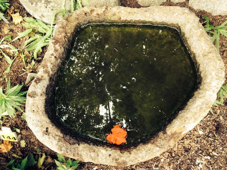 Large Hand carved 19th Century Stone "clam shell" shape Planter and ...