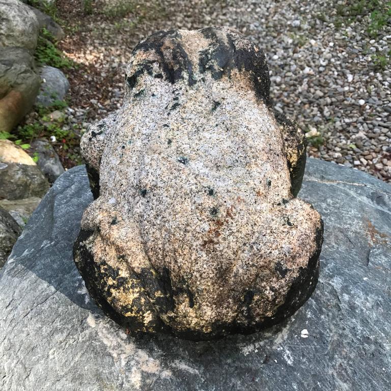 Giant Burly Japanese Antique Stone Frog Found In Vermont Tree, 17" Long ...