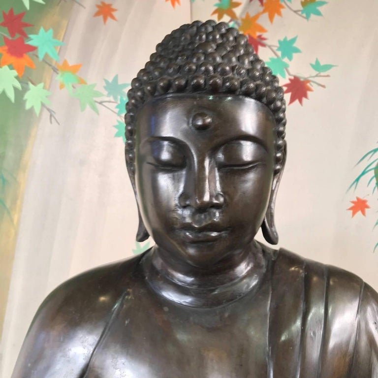 Large Fine Japanese Bronze Seated Buddha 25" tall with Custom Black ...