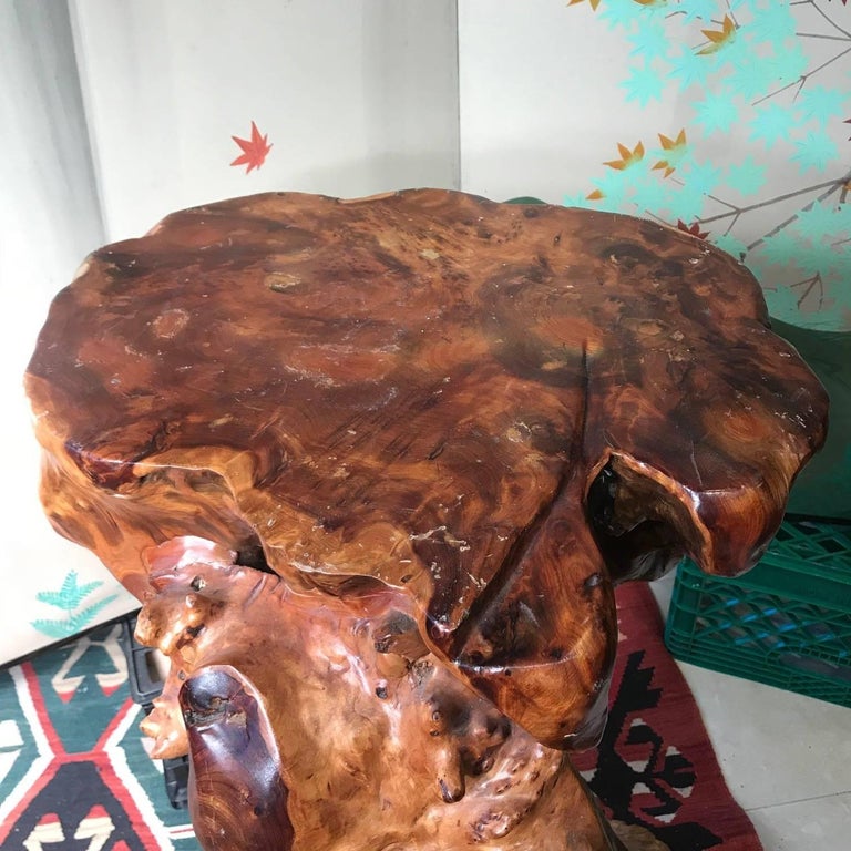 Natural Organic Burl Wood Flower Display Table, 38" For Sale at 1stDibs