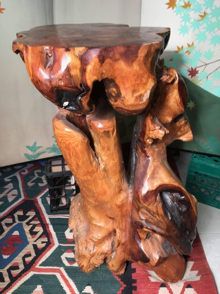 Natural Organic Burl Wood Flower Display Table, 38" For Sale at 1stDibs