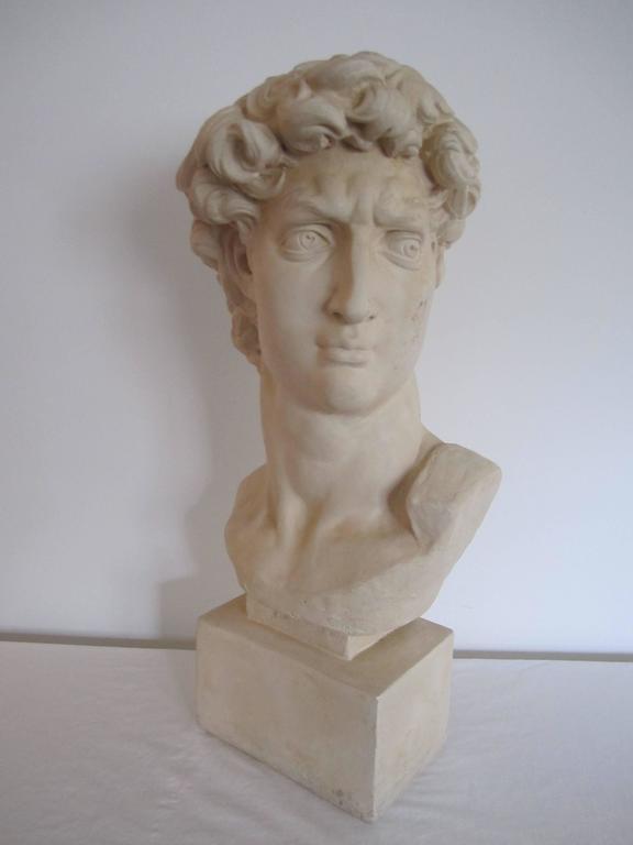 Vintage Classic Roman Style Bust of the David at 1stDibs