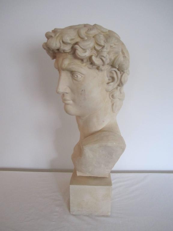Vintage Classic Roman Style Bust of the David at 1stDibs