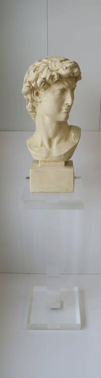 Vintage Classic Roman Style Bust of the David at 1stDibs