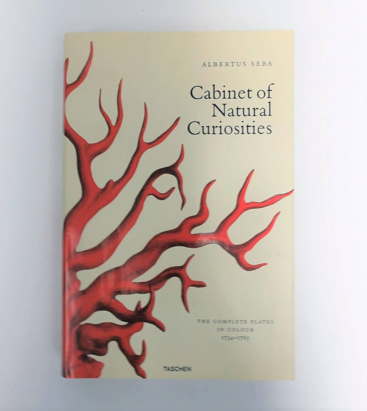 Cabinet of Natural Curiosities Coffee Table or Library Book by Albertus ...