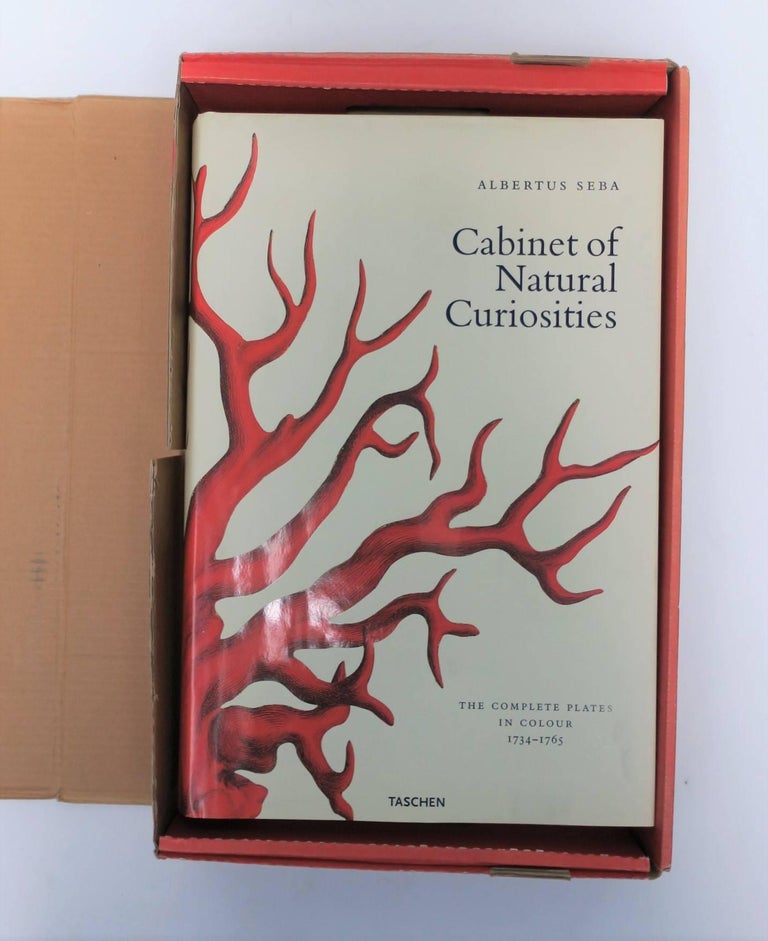 Cabinet of Natural Curiosities Coffee Table or Library Book by Albertus ...