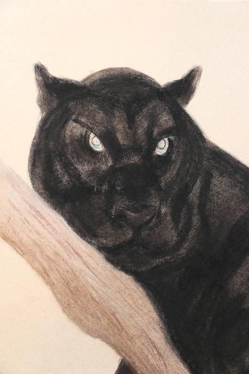 1930s Drawing by Georges Lucien Guyot, "Black Panther in Tree" at 1stDibs
