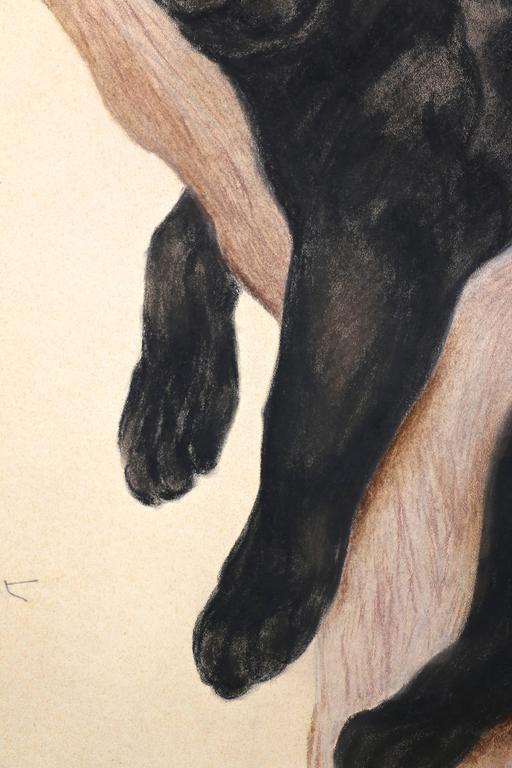 1930s Drawing by Georges Lucien Guyot, "Black Panther in Tree" at 1stDibs