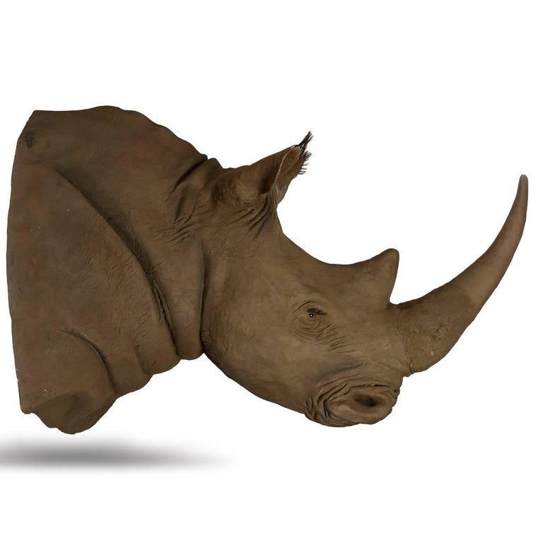 Massive Faux African Taxidermy Acrylic Hanging Rhino Head at 1stDibs