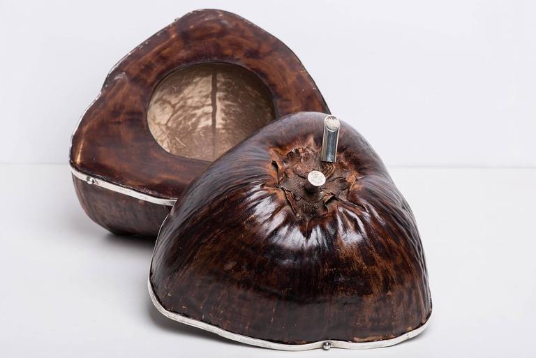 Ice Bucket Coconut with Silver Border at 1stDibs | coconut ice bucket