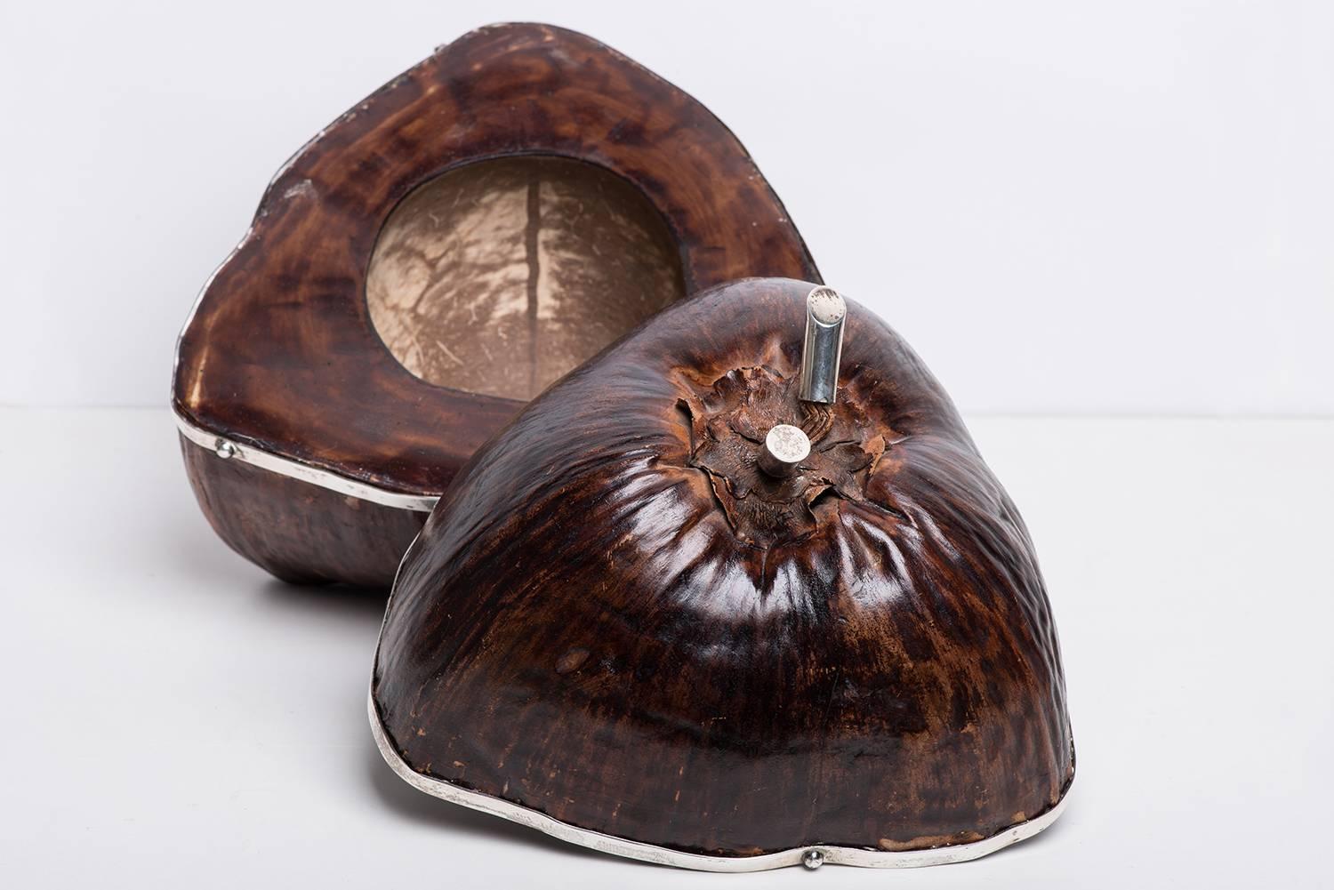 Ice Bucket Coconut with Silver Border For Sale at 1stdibs