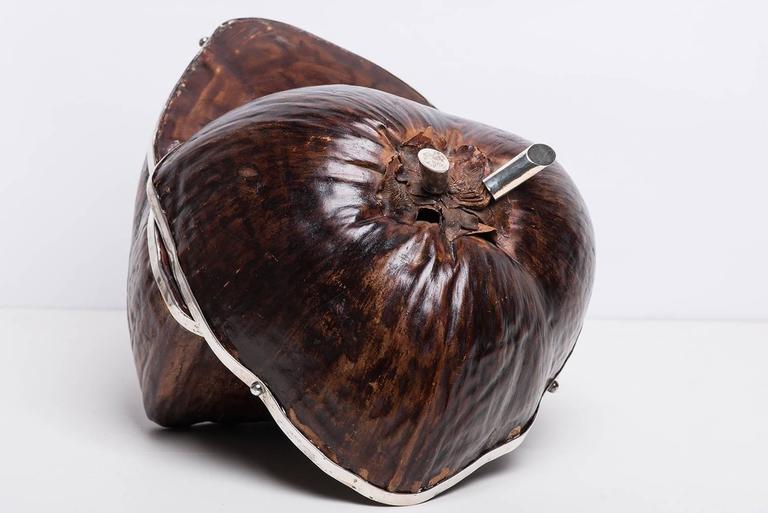Ice Bucket Coconut with Silver Border at 1stDibs | coconut ice bucket