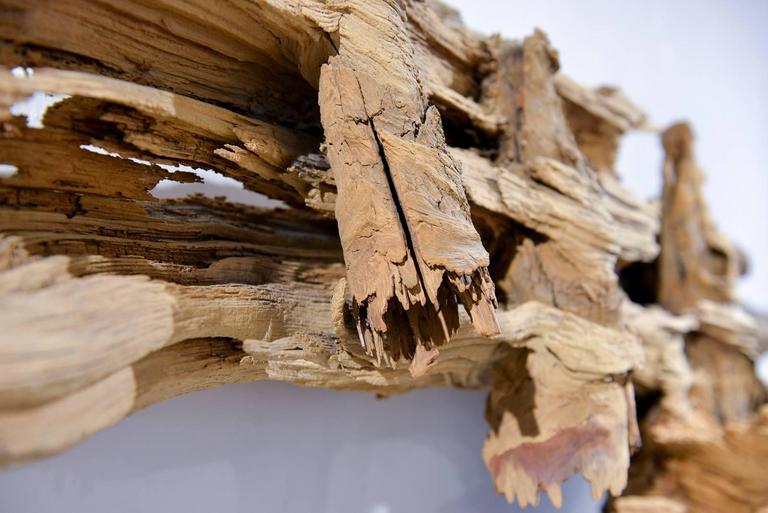 Large 10' Organic Driftwood Wall Hanging at 1stDibs