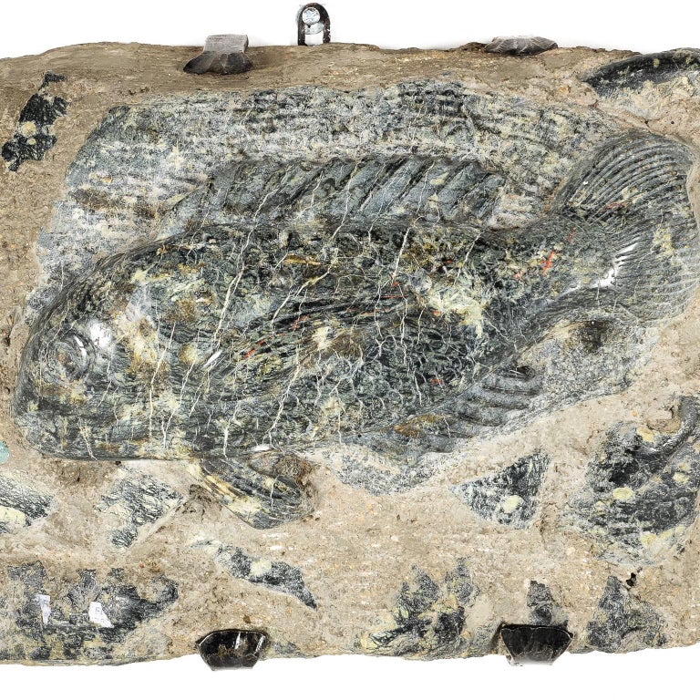 20th Century Bas Relief of Fish in Blue-Green Stone For Sale at 1stDibs