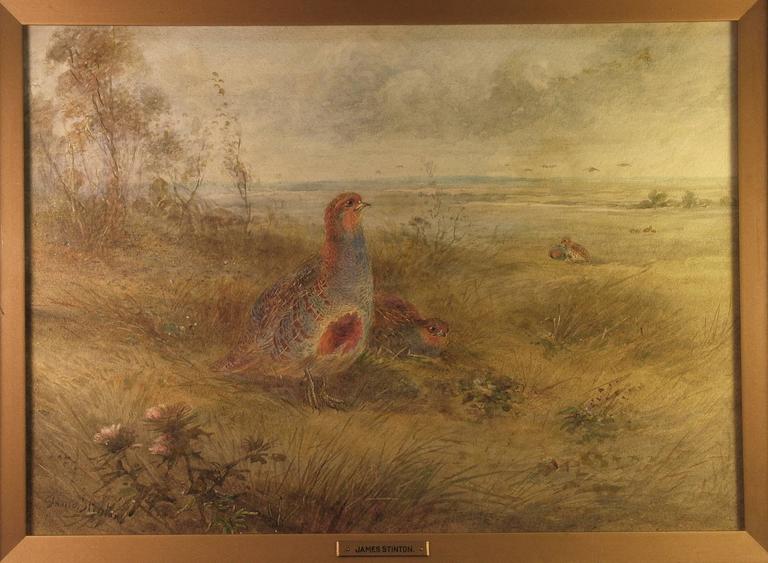 James Stinton (British 1870-1961) "Grey Partridge" Watercolor at 1stDibs