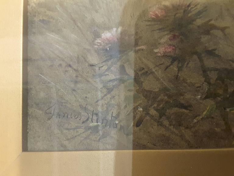 James Stinton (British 1870-1961) "Grey Partridge" Watercolor at 1stDibs