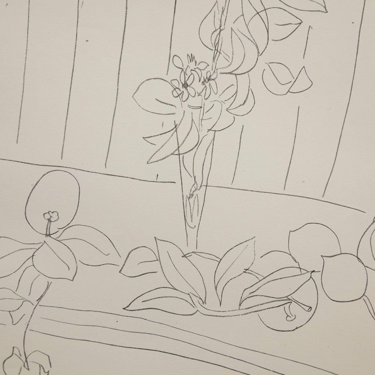 Lithograph after Original Matisse Drawing, 1942 For Sale at 1stDibs