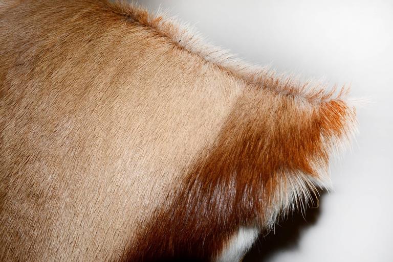 Springbok Cushion, Real Fur For Sale at 1stDibs | springbok fur