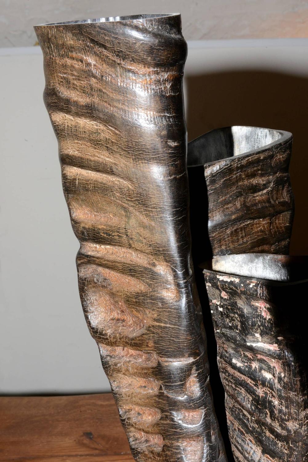 Horns Vase with Real Buffalo Horns For Sale at 1stdibs