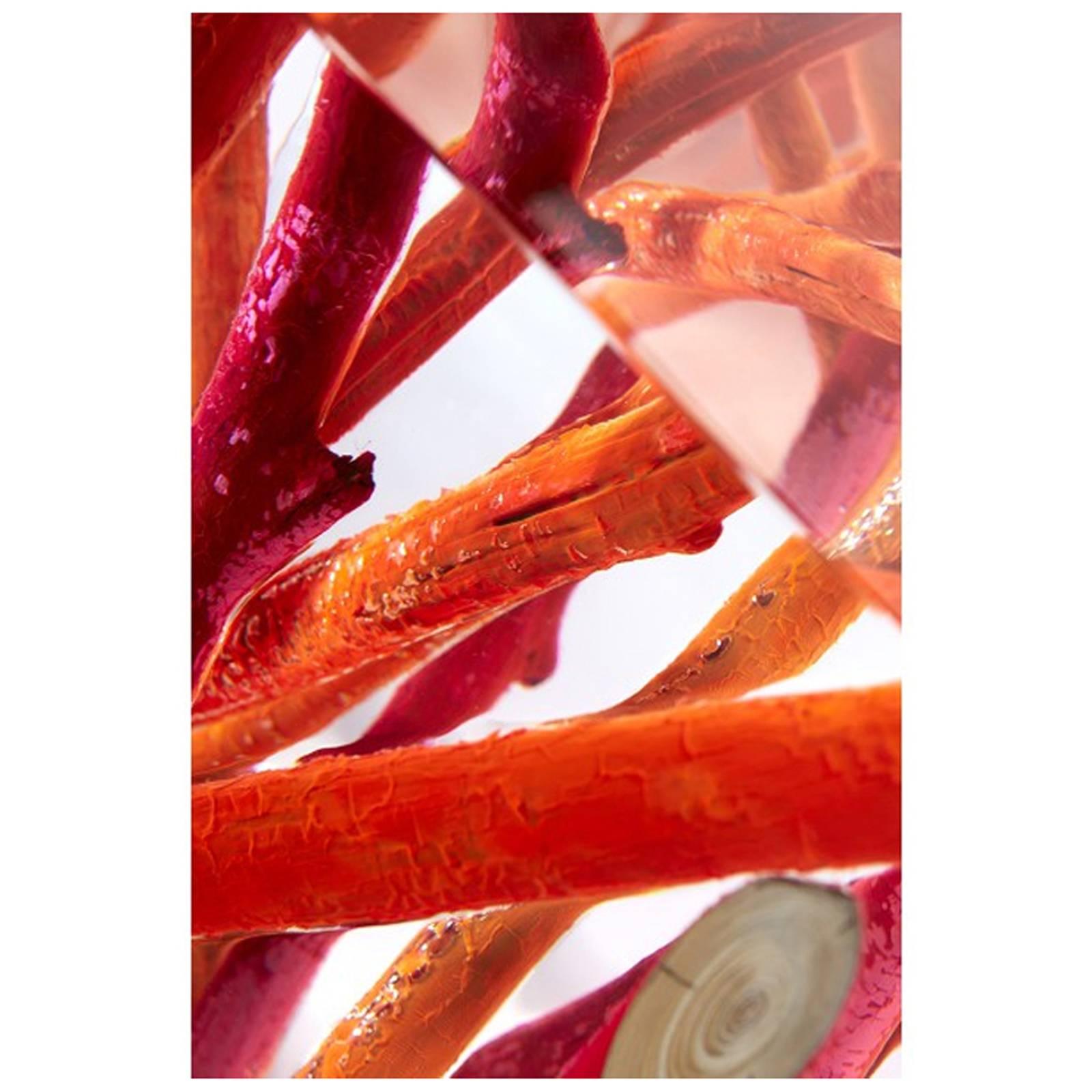 Kisimi Fluo Side Table in Acrylic Glass and Driftwood at 1stDibs ...