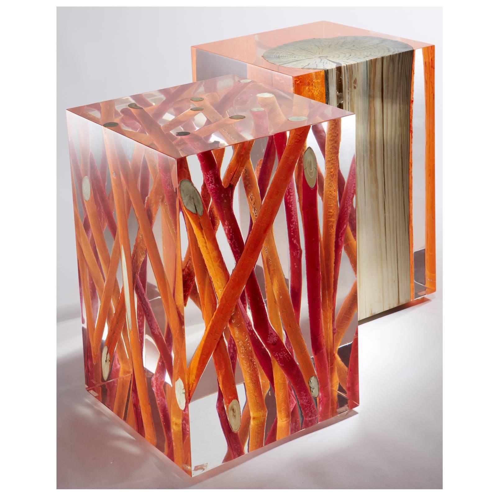 Kisimi Fluo Side Table in Acrylic Glass and Driftwood at 1stDibs ...