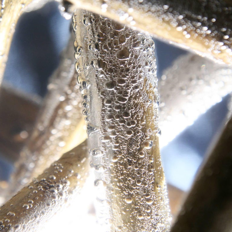 Kisimi Clear Branches A Side Table with Acrylic Glass and Driftwood at ...