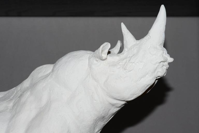 Sculpture Rhinoceros in Plaster Limited Edition 45/100 by J.B Vandame ...