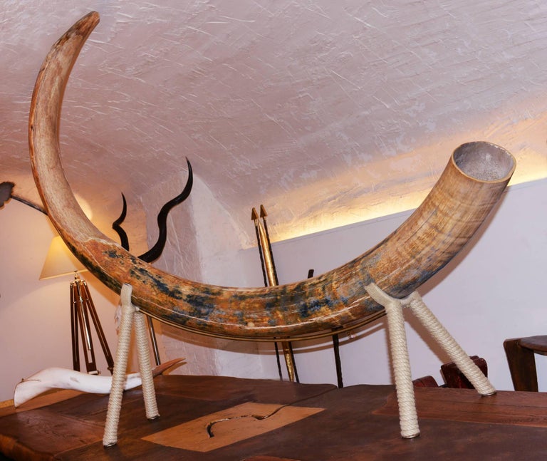 Mammoth Tusk from Siberia at 1stDibs