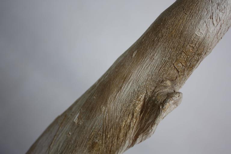Petrified and Painted Tree Branch 'Hand' Sculpture on Board at 1stDibs