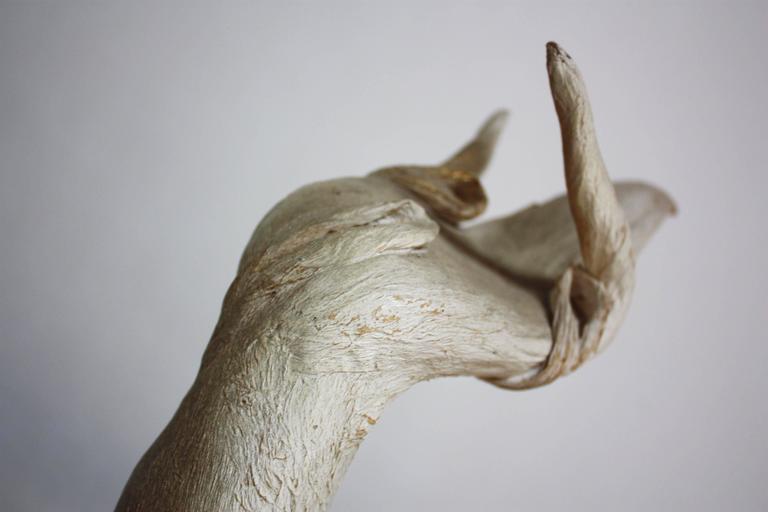 Petrified and Painted Tree Branch 'Hand' Sculpture on Board at 1stDibs