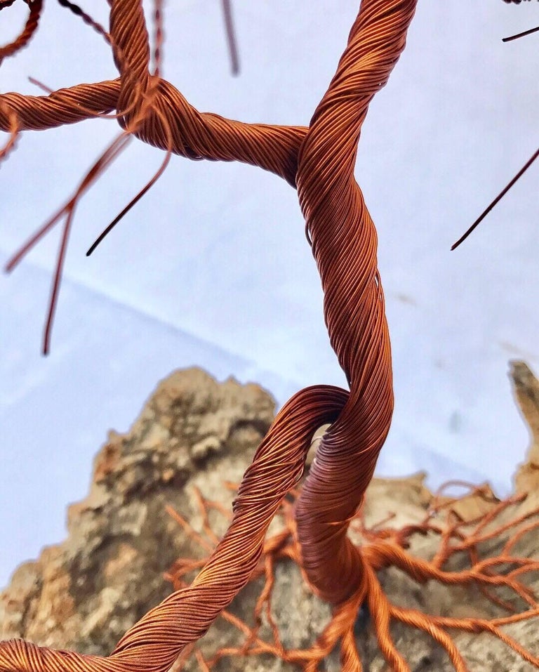Organic Modern Sculpture of Copper Tree on Driftwood Base For Sale at ...