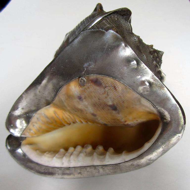 Silver Covered Shell at 1stdibs