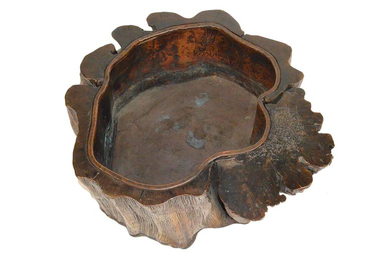 Monumental Japanese Hollowed Tree Trunk Jardinière For Sale at 1stDibs ...