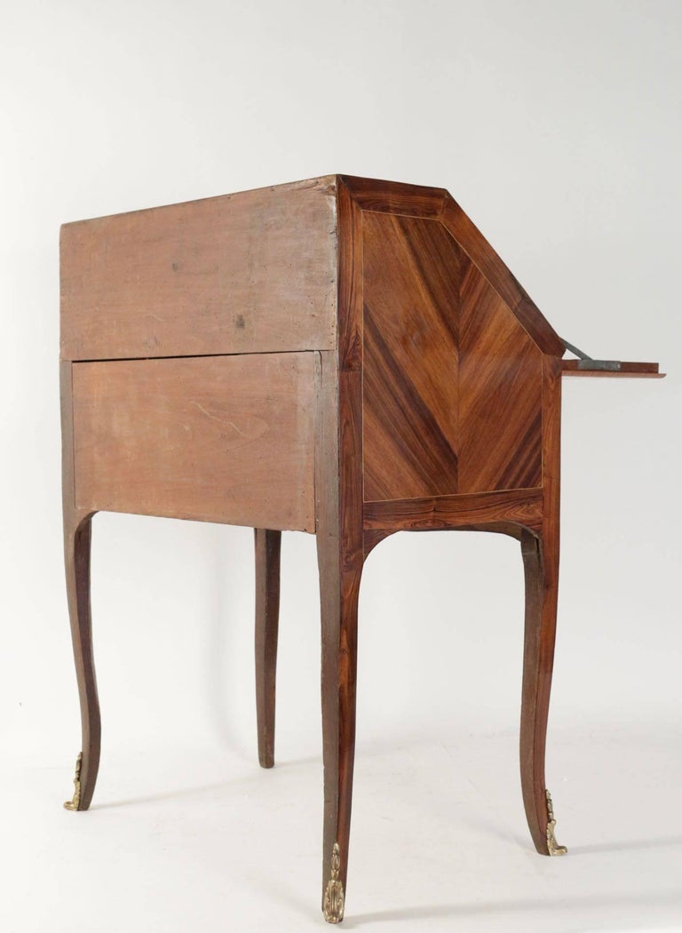 Sloping Desk, Louis XV Style, Precious Wood Veneer, 19th Century For ...