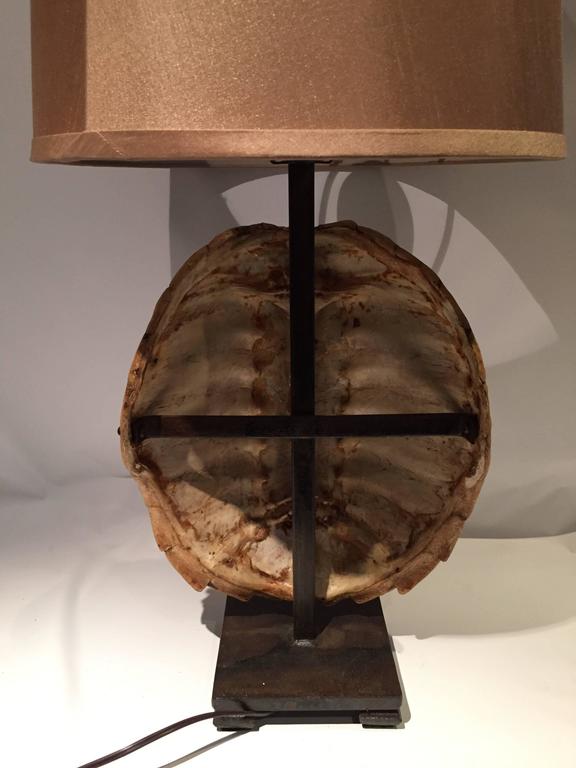 Pair of Turtle Shell and Iron Lamps at 1stDibs