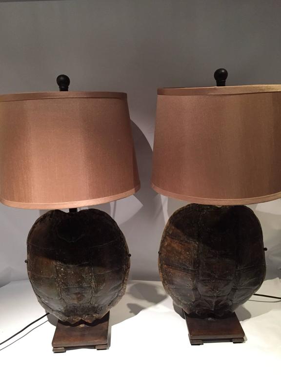 Pair of Turtle Shell and Iron Lamps at 1stDibs