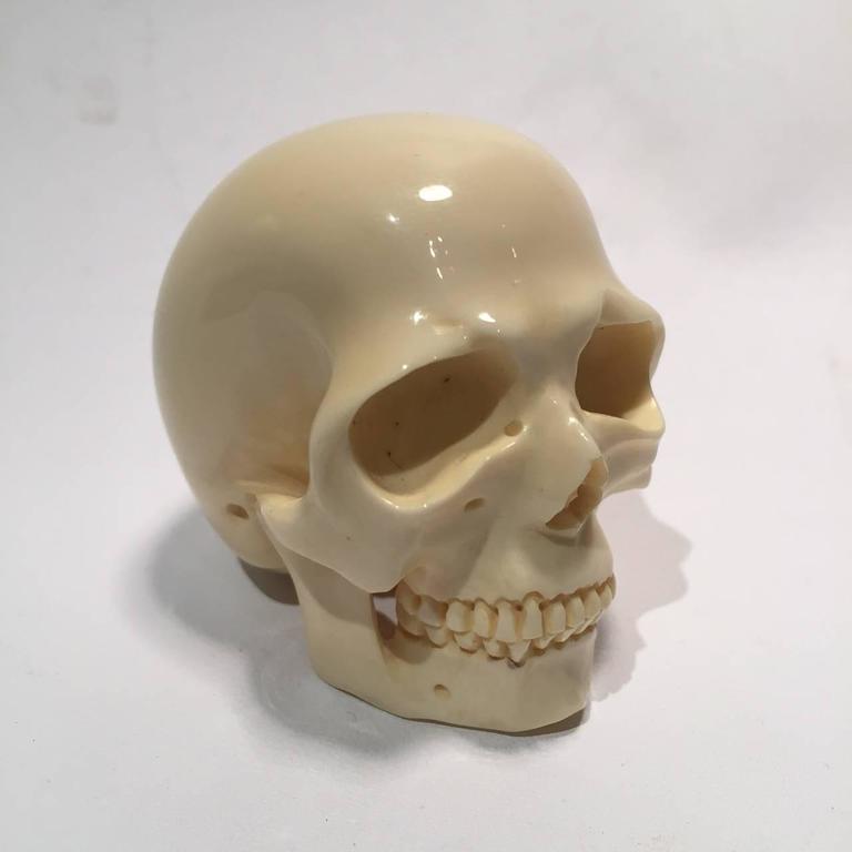 Billiard Ball Skull Set, Including Cue Ball at 1stDibs